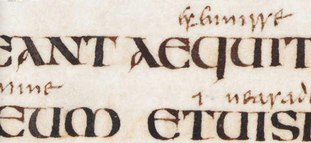 Uncial | Patricia Lovett MBE