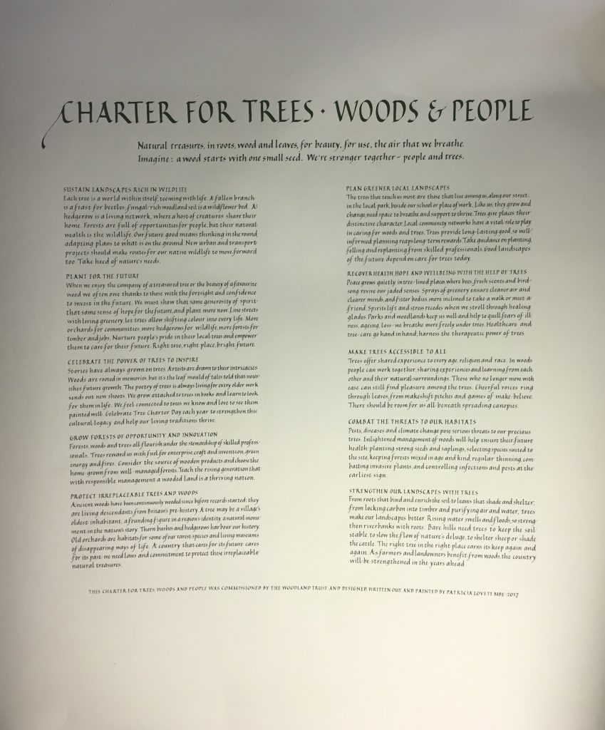 Charter for Trees Woods and People | Patricia Lovett MBE