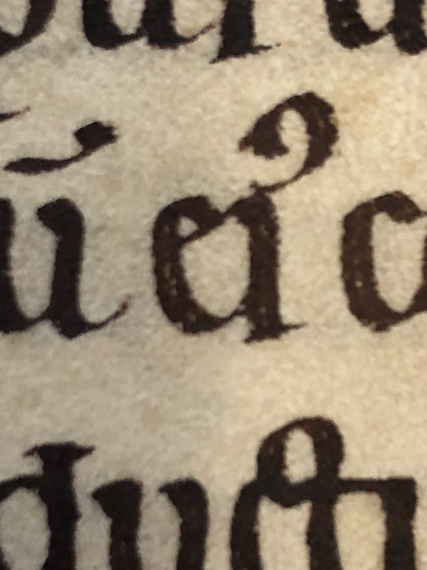 The Bury Bible | Patricia Lovett MBE