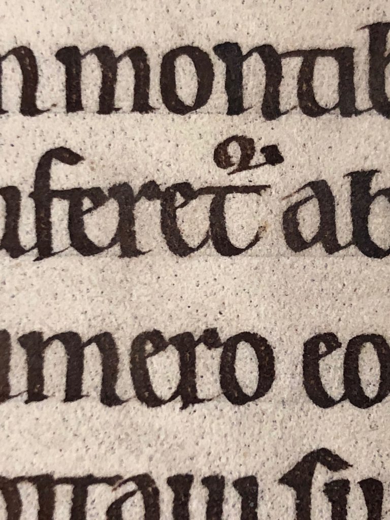 The Bury Bible | Patricia Lovett MBE