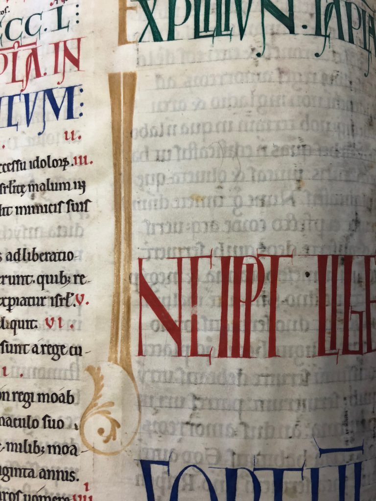 The Bury Bible | Patricia Lovett MBE