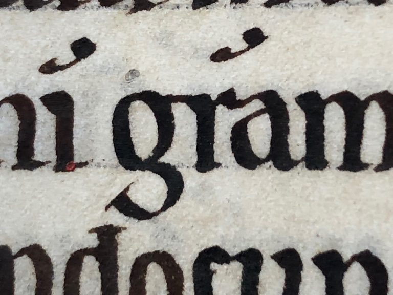 The Bury Bible | Patricia Lovett MBE